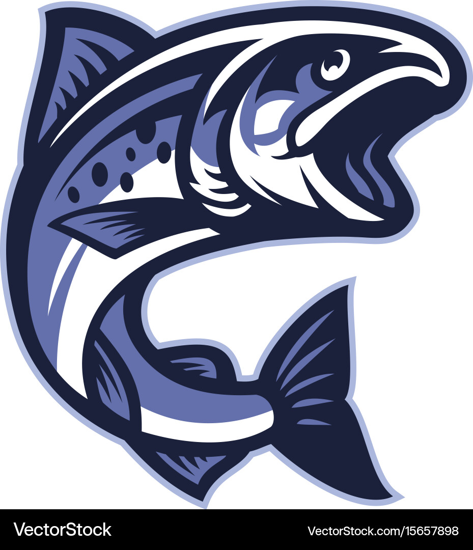 Salmon fish Royalty Free Vector Image - VectorStock