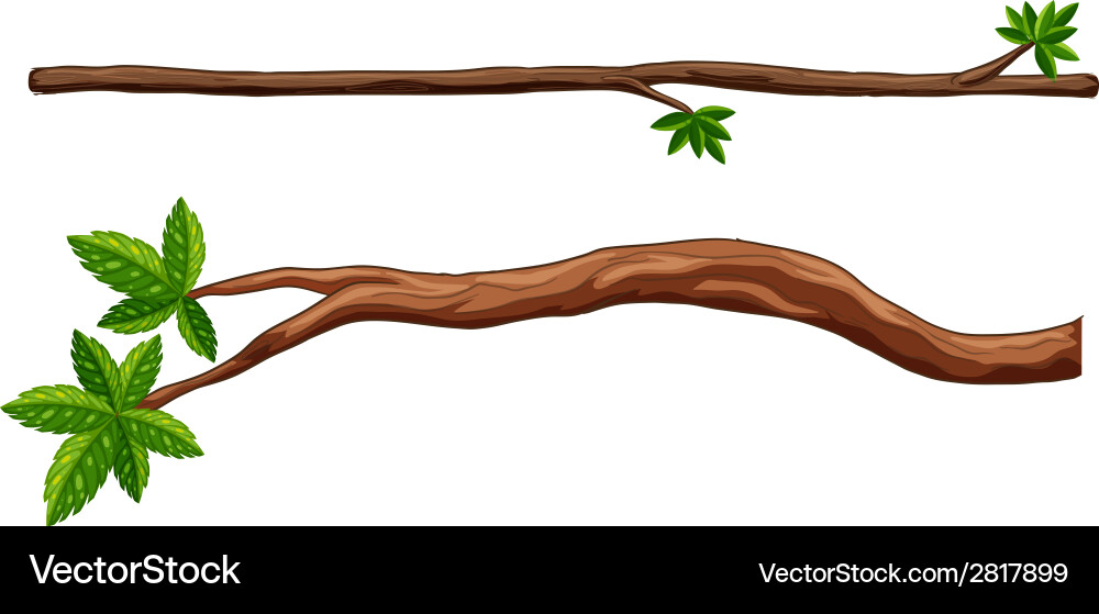 Branches Royalty Free Vector Image - VectorStock