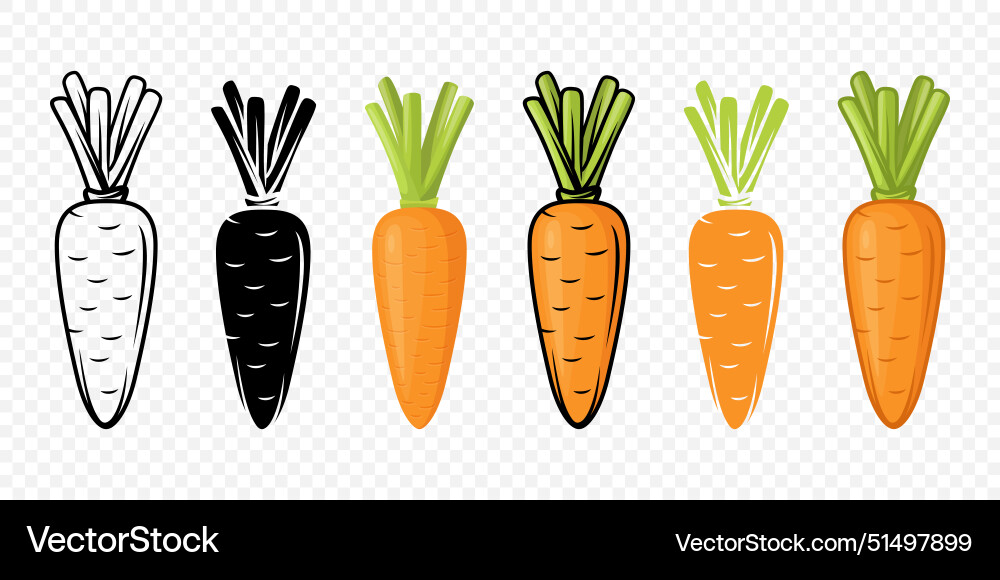 Carrot icon set closeup isolated fresh Royalty Free Vector