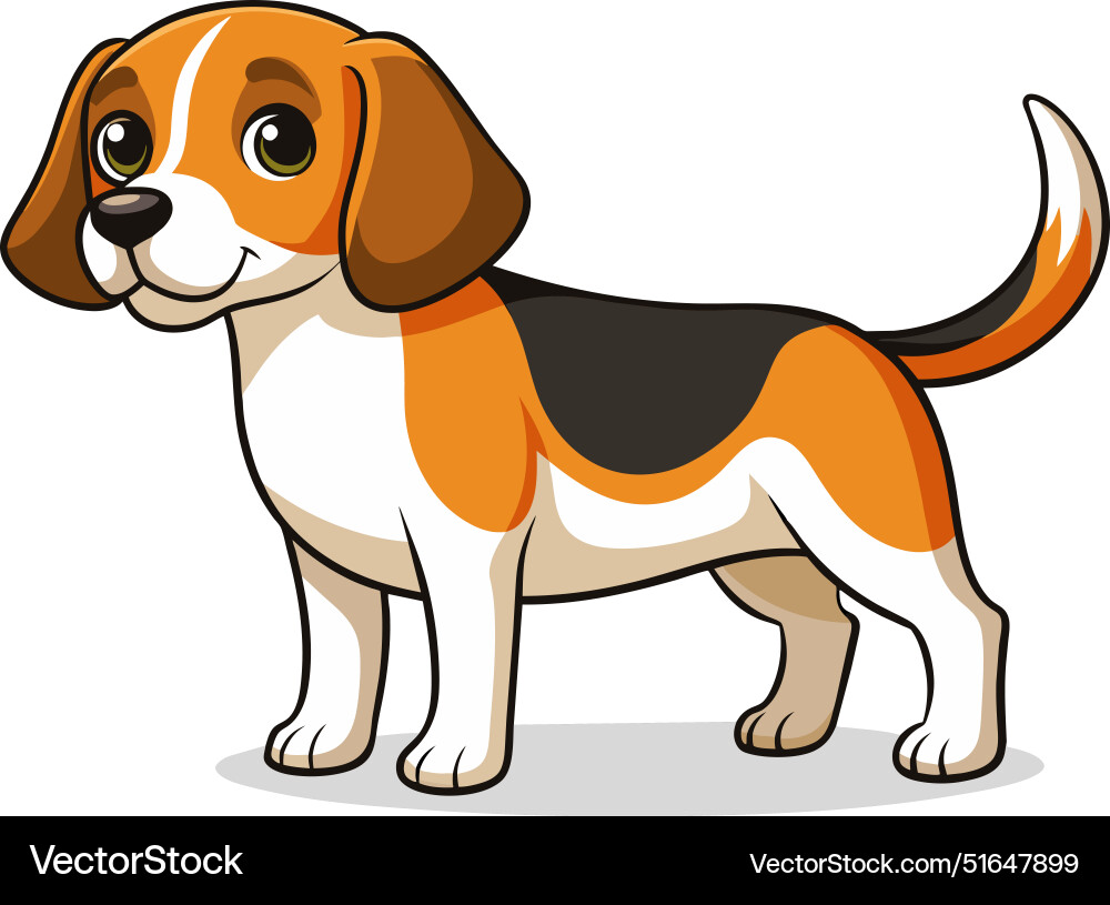 Cute beagle full body high detail c Royalty Free Vector