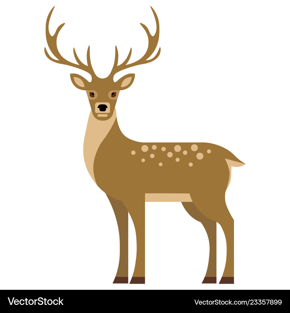 Deer in flat style image Royalty Free Vector Image