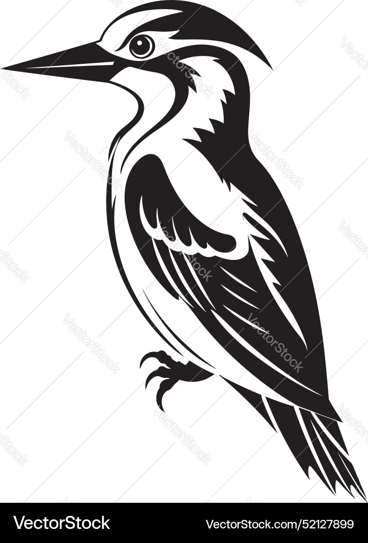 Pecking prowess woodpecker icon design rustic Vector Image