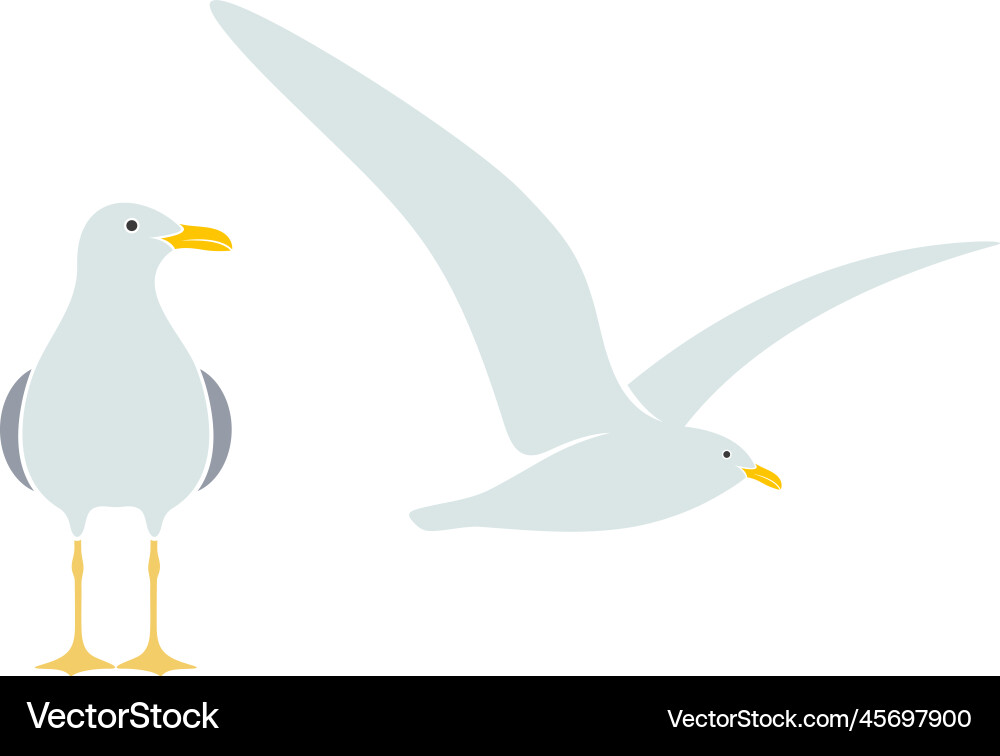 Seagull Royalty Free Vector Image - VectorStock