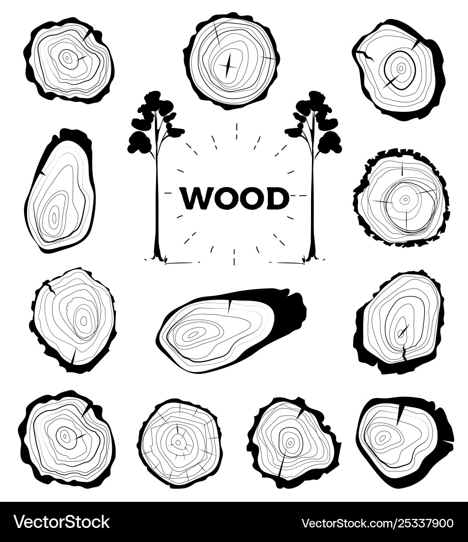 Tree Rings Cross-Section Collection Royalty Free Vector
