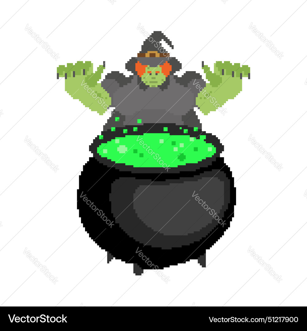 Witch pixel art isolated 8bit angry sorceress Vector Image