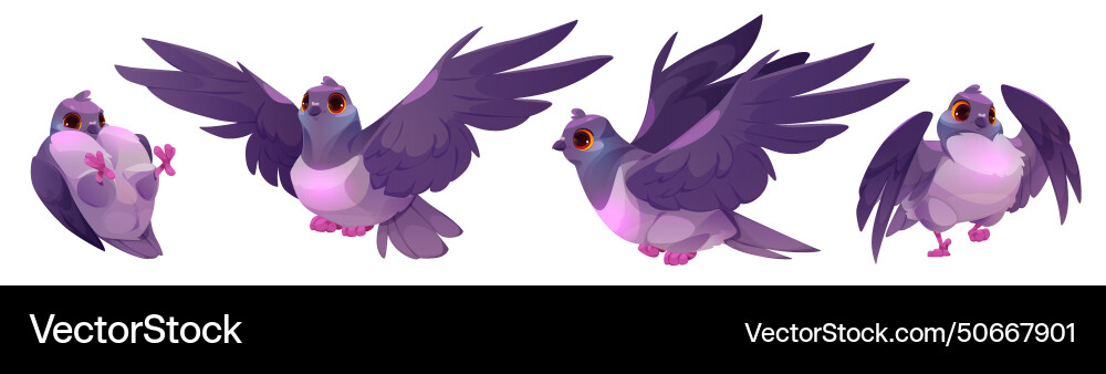 Pigeon bird characters set on white Royalty Free Vector