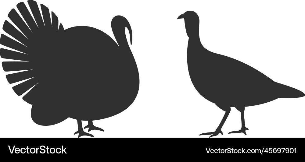 Turkey Royalty Free Vector Image - VectorStock