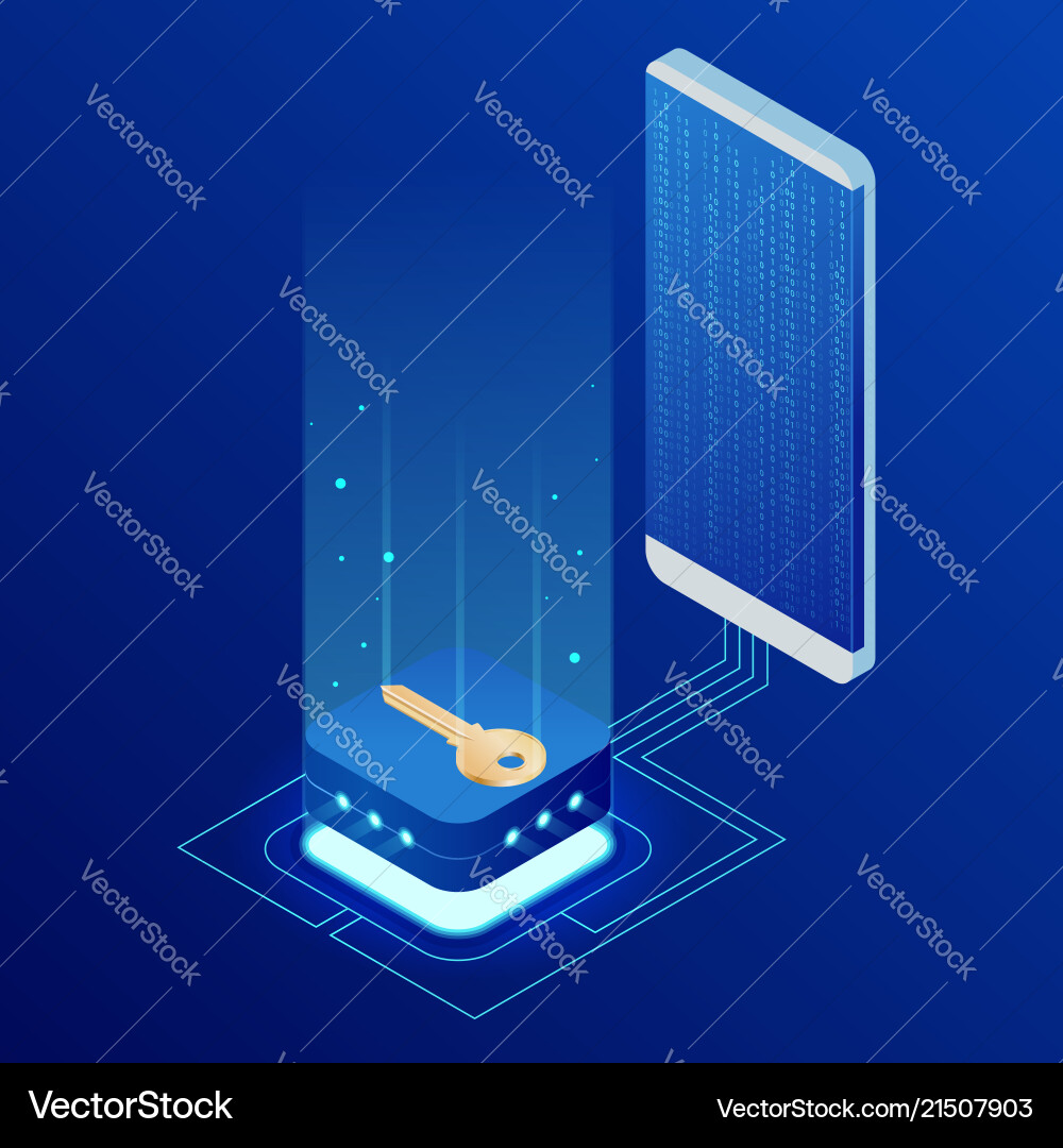 Isometric Internet Security Data Transfer Vector Image