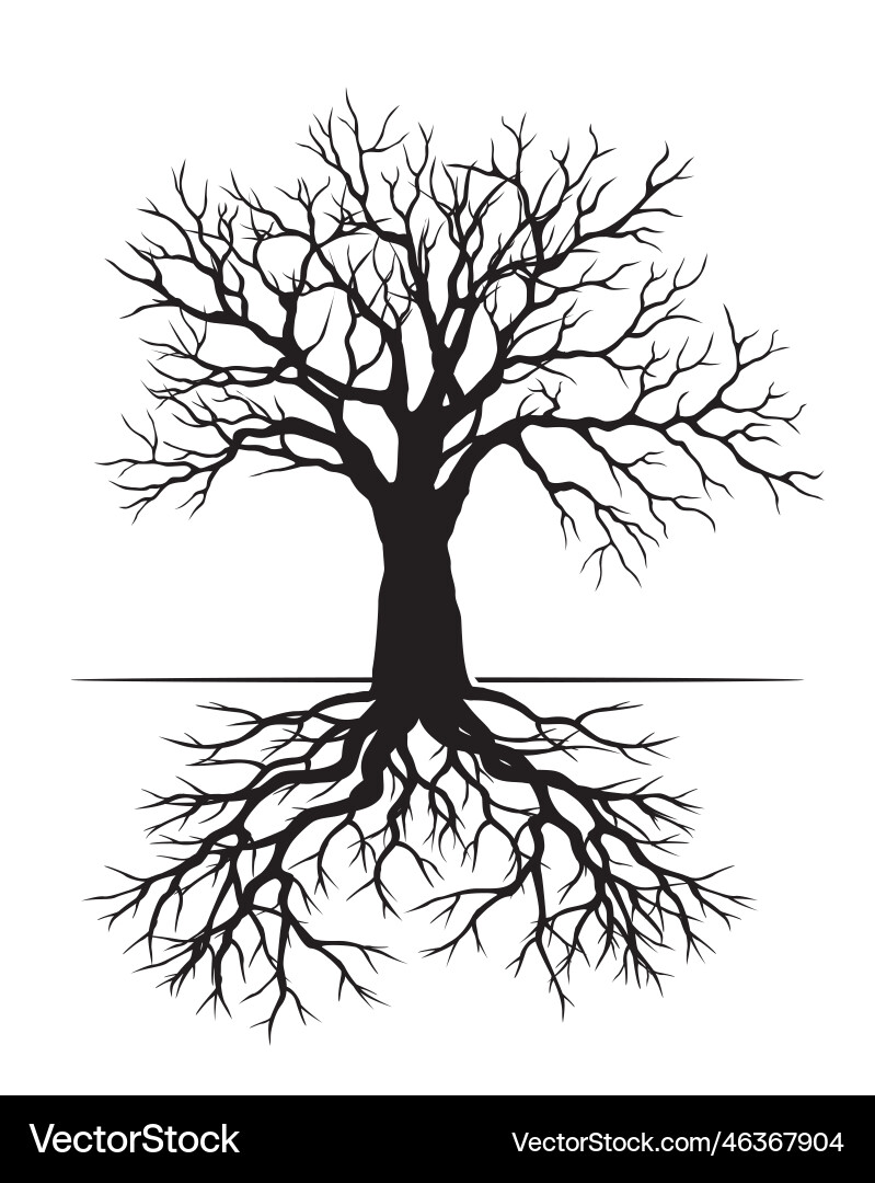 Black tree with roots outline Royalty Free Vector Image