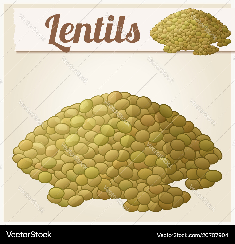 Lentils detailed icon Royalty Free Vector Image