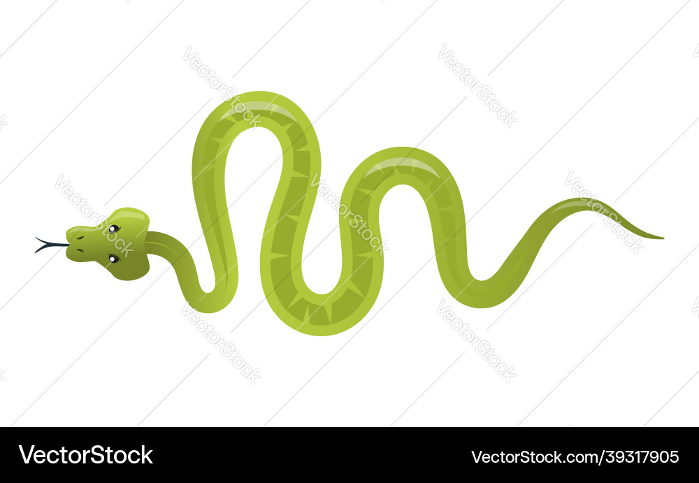 Green snake - creative modern cartoon style Vector Image