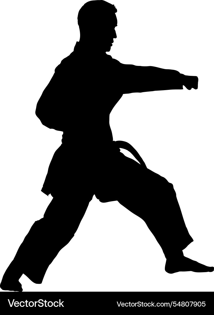 Silhouette of karateka karate fighter Royalty Free Vector