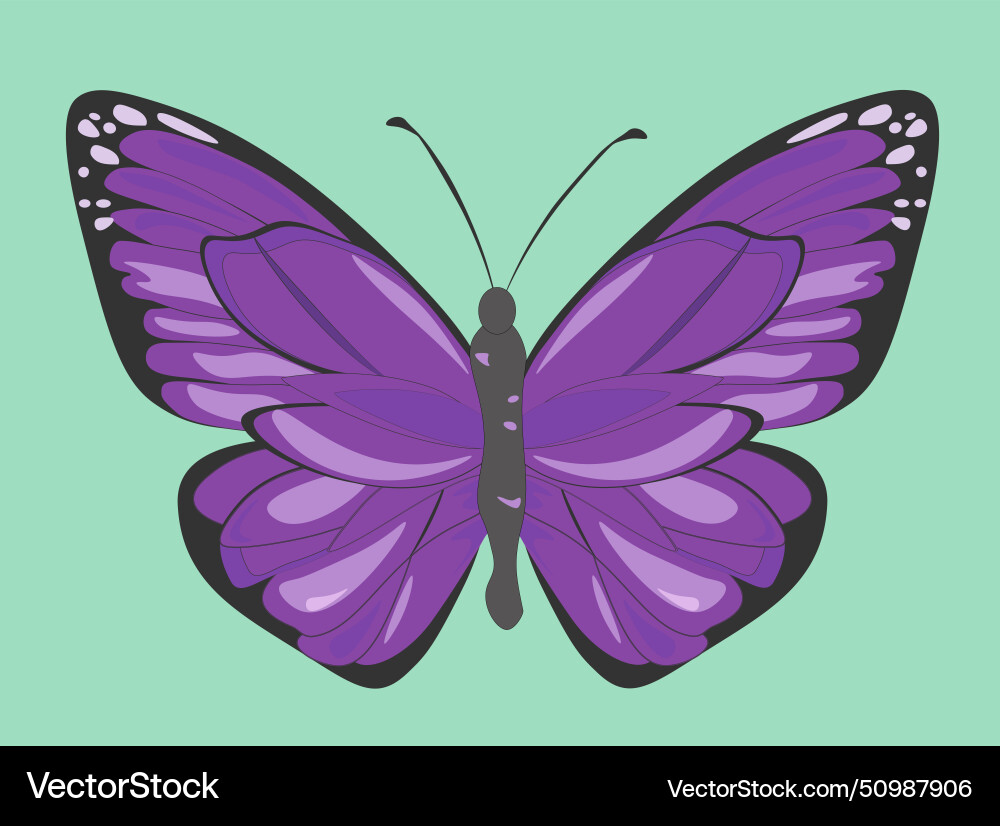 Large purple butterfly with a pattern Royalty Free Vector