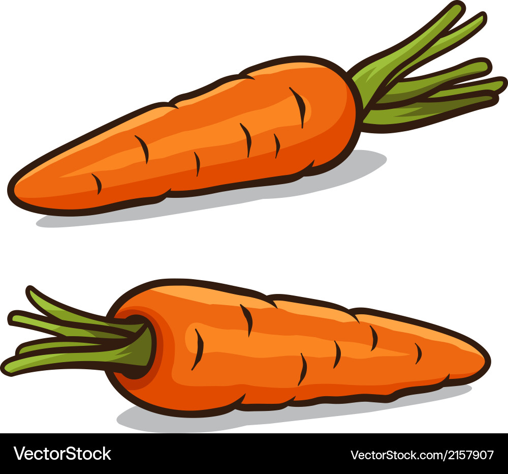 Carrot Royalty Free Vector Image - VectorStock