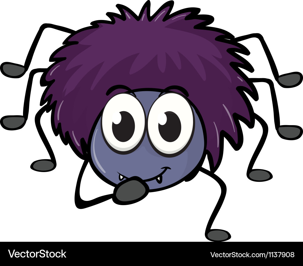A spider Royalty Free Vector Image - VectorStock