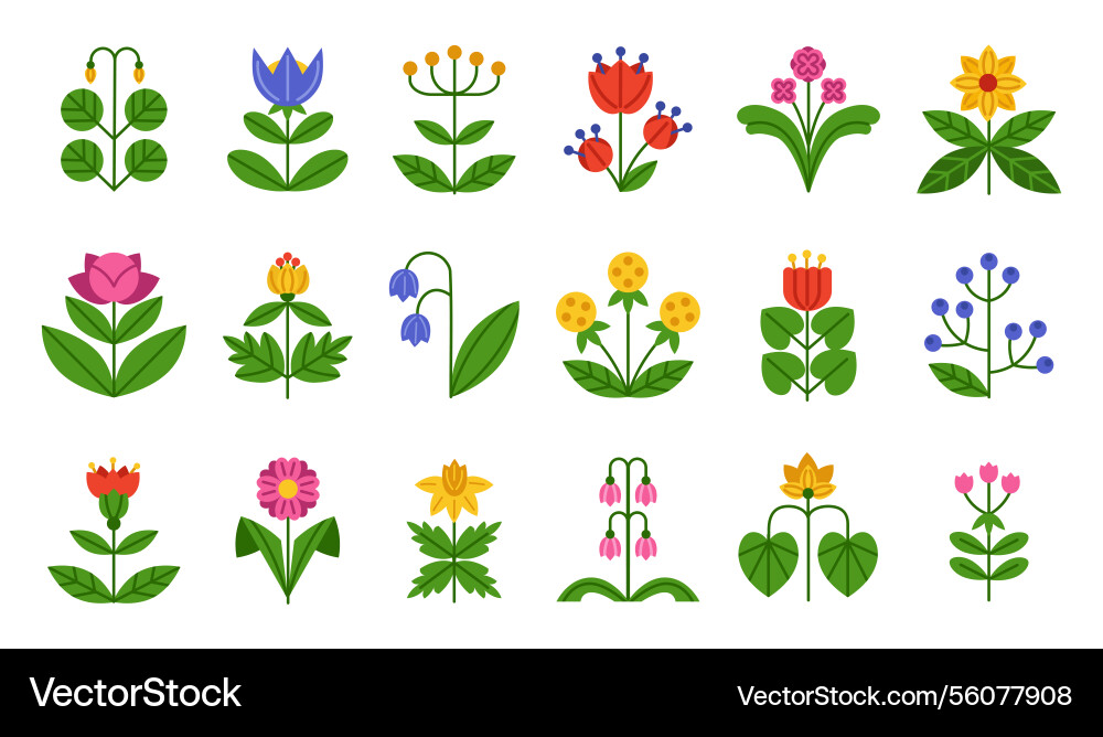 Symmetrical floral pattern abstract flower Vector Image