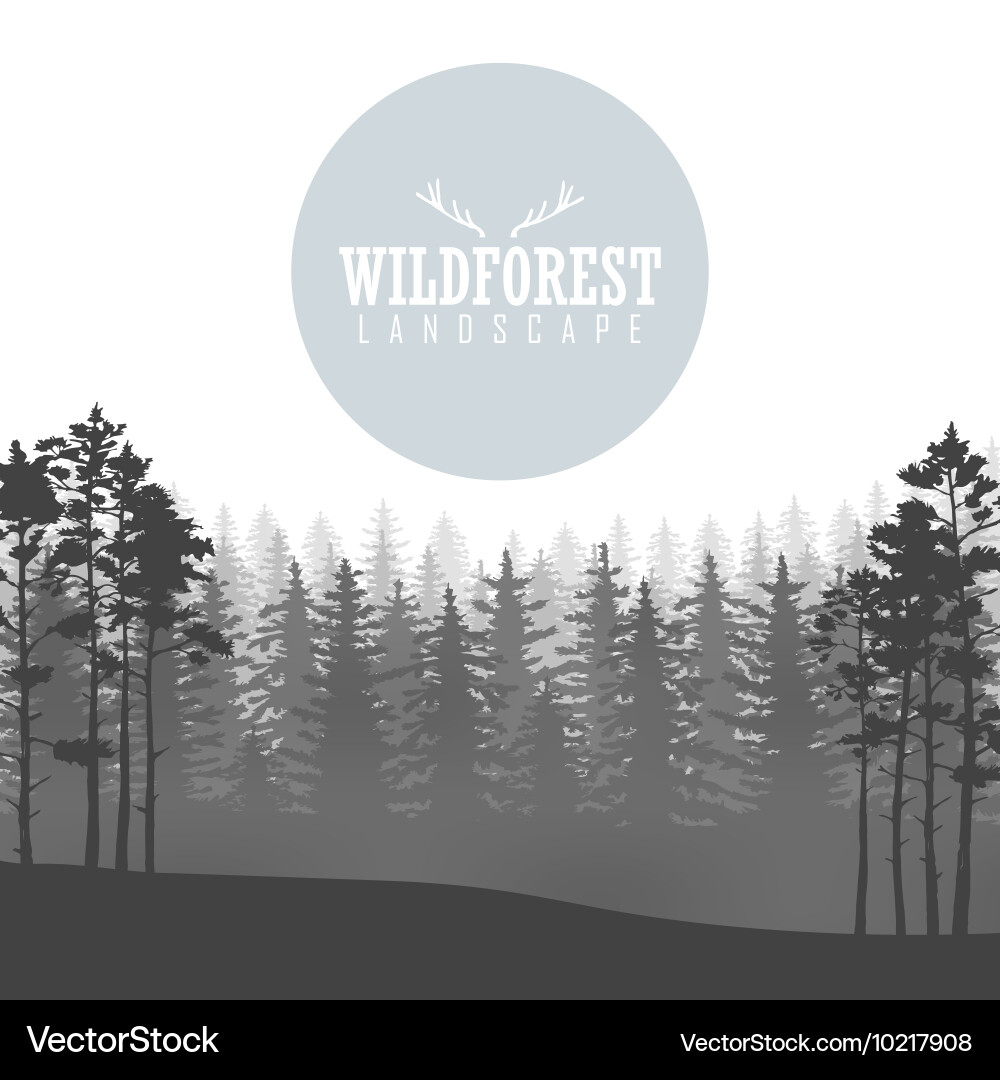 Wild coniferous forest background pine tree Vector Image