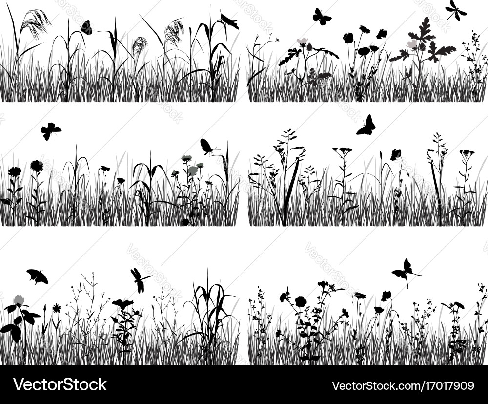 Collection of plants Royalty Free Vector Image