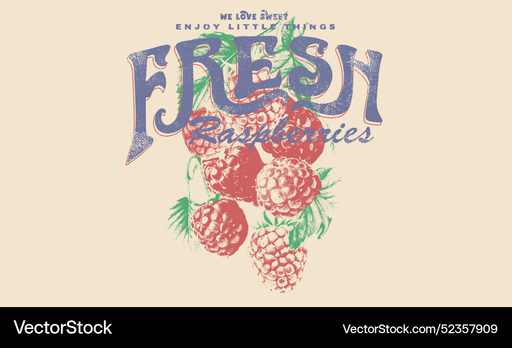 Fresh raspberry artwork organic fruit market Vector Image