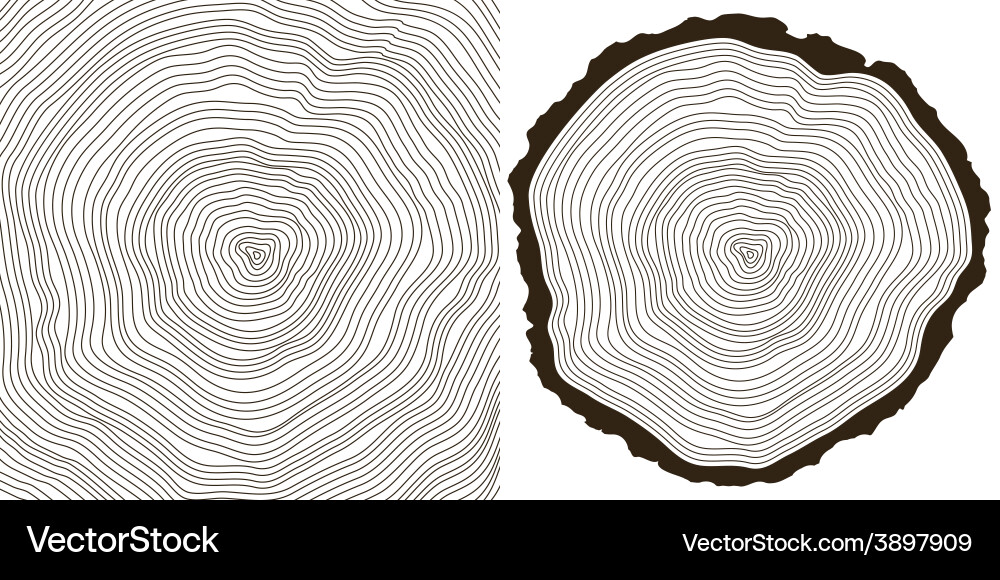 Vector Tree Ring Objects Vector Tree Rings Background Cut Tree Trunk
