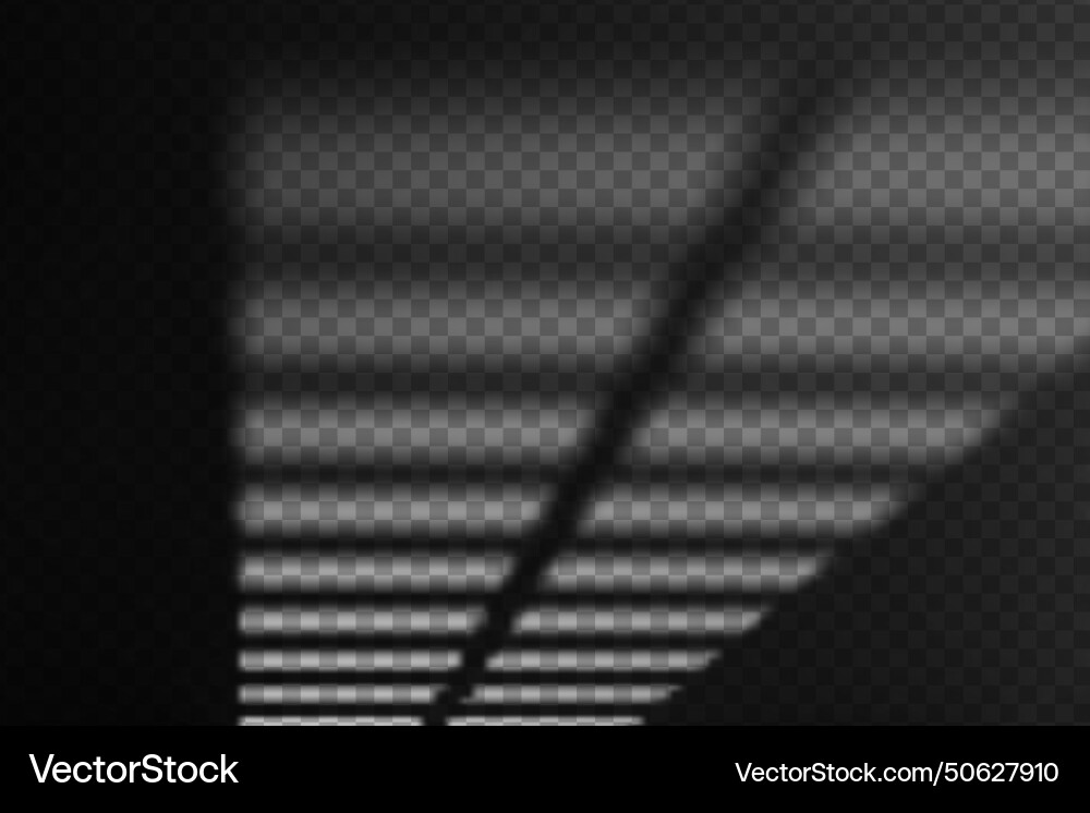 Light effect shadow overlay from window isolated Vector Image