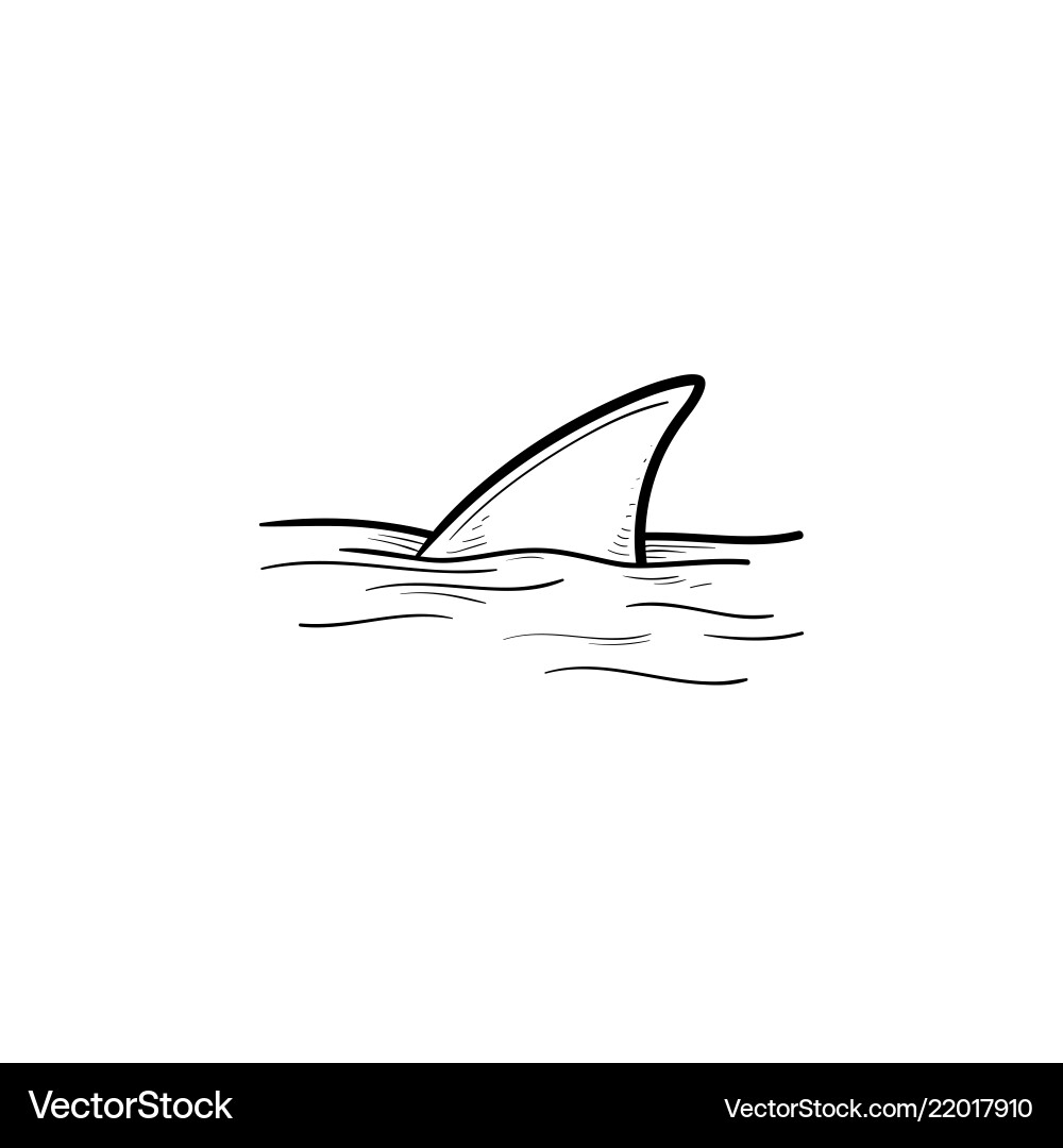 Shark fin over water hand drawn outline doodle Vector Image