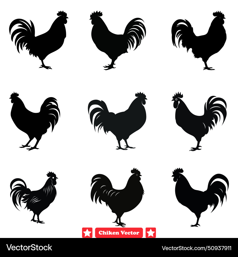 Plucky poultry dynamic chicken graphics Royalty Free Vector