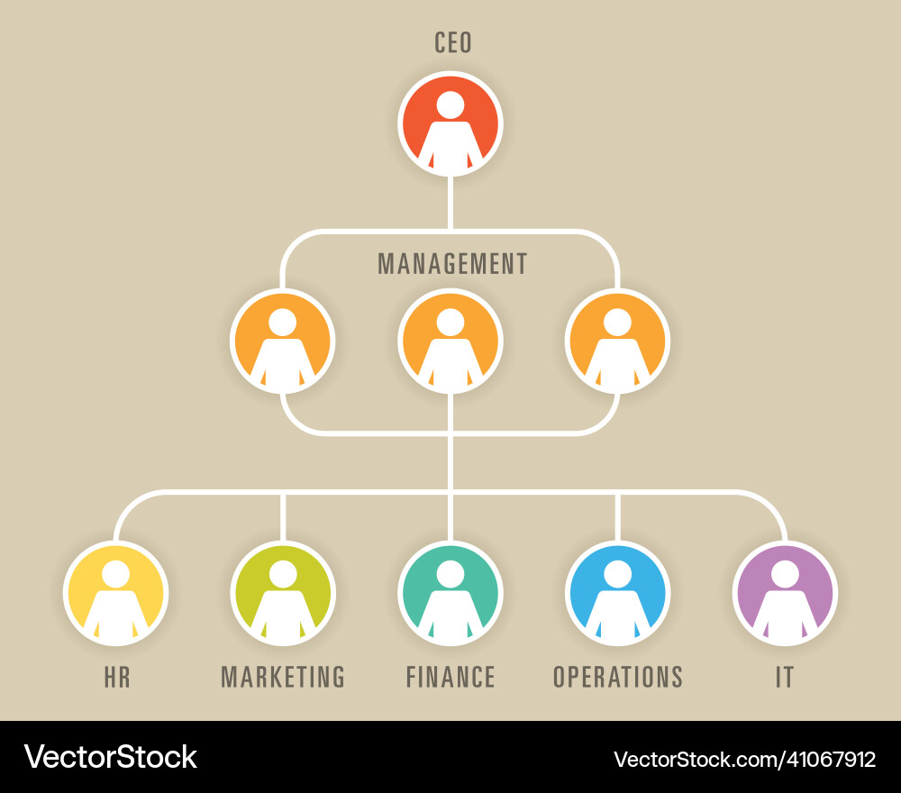Business chart showing corporate structure of comp