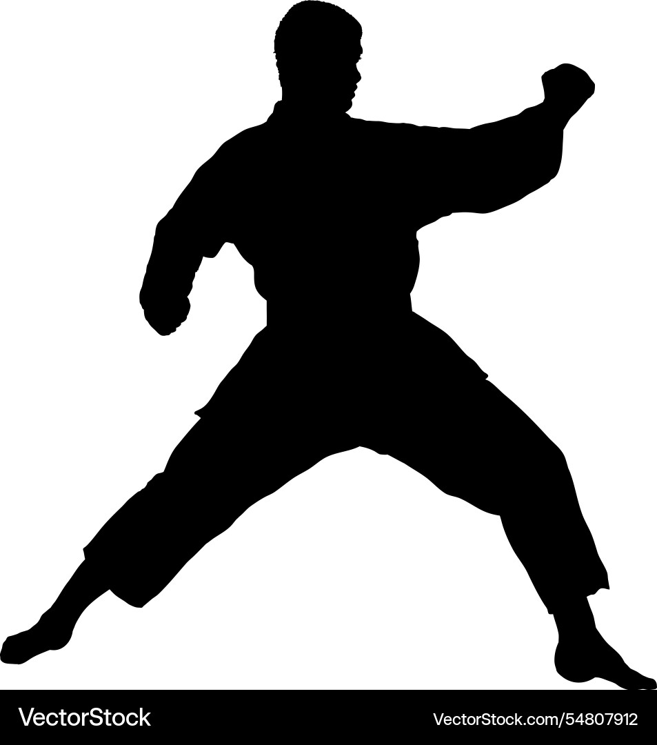 Silhouette of karateka karate fighter Royalty Free Vector