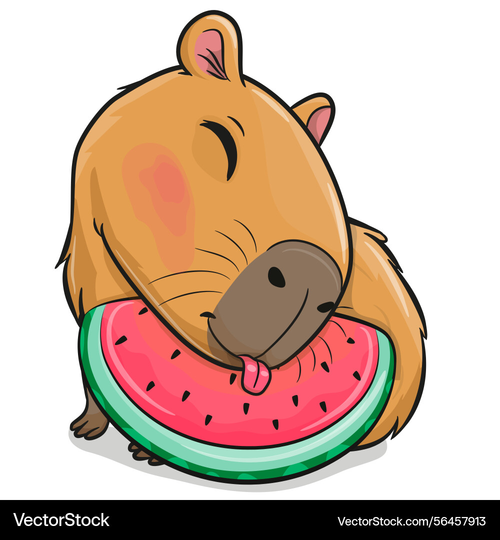 Cartoon capybara with watermelon on a white Vector Image