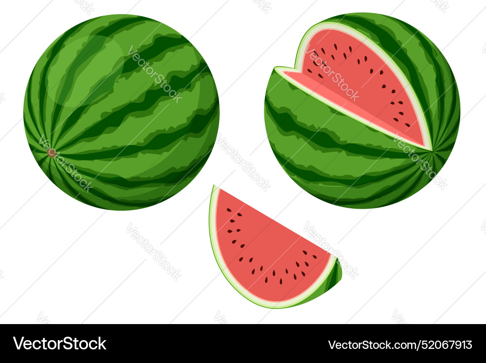 Isometric whole and half watermelon isolated Vector Image