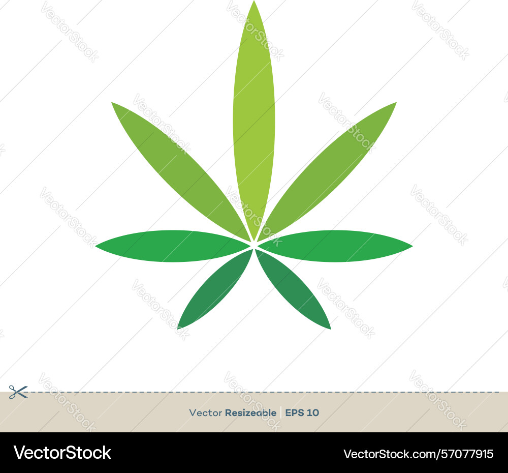 Marijuana leaf hemp weed icon logo template design
