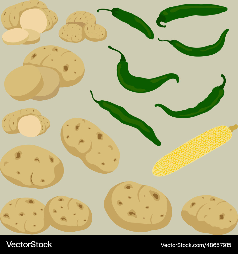 Potato and green chili collection Royalty Free Vector Image