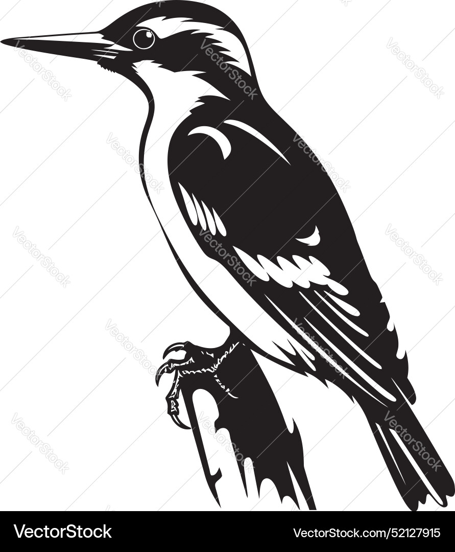 Talon tempo woodpecker icon perky pecker Vector Image