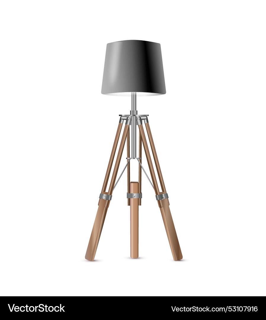 Lamp closeup isolated on white background floor Vector Image