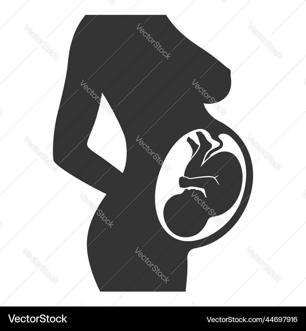 Pregnancy Royalty Free Vector Image - VectorStock