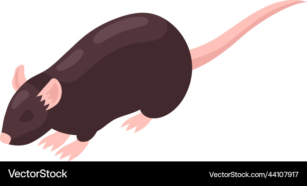 Rat isometric Royalty Free Vector Image - VectorStock