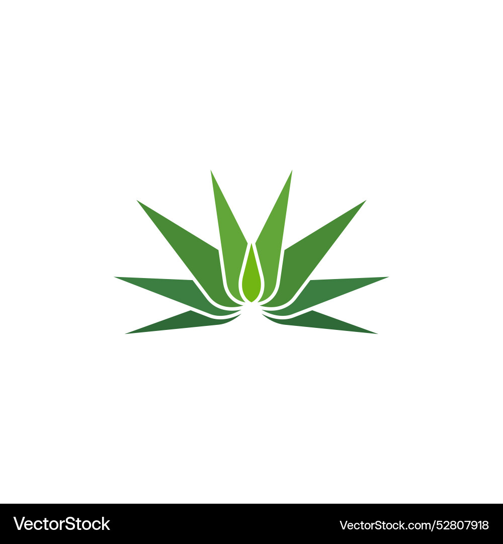 Aloe vera plant logo icon symbol Royalty Free Vector Image