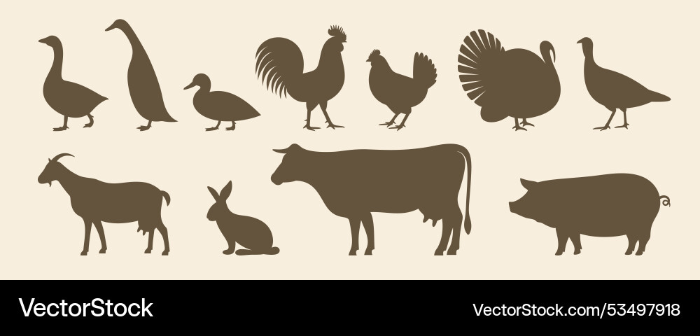 Farm animals Royalty Free Vector Image - VectorStock