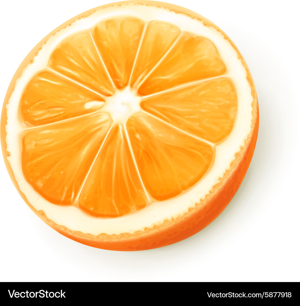 Orange fruit Royalty Free Vector Image - VectorStock