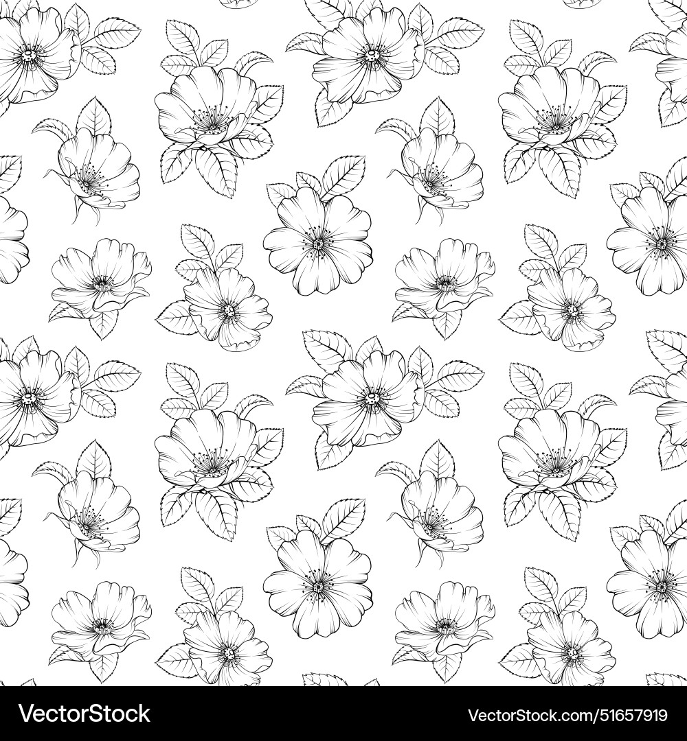 Floral seamless pattern with flowers plants Vector Image