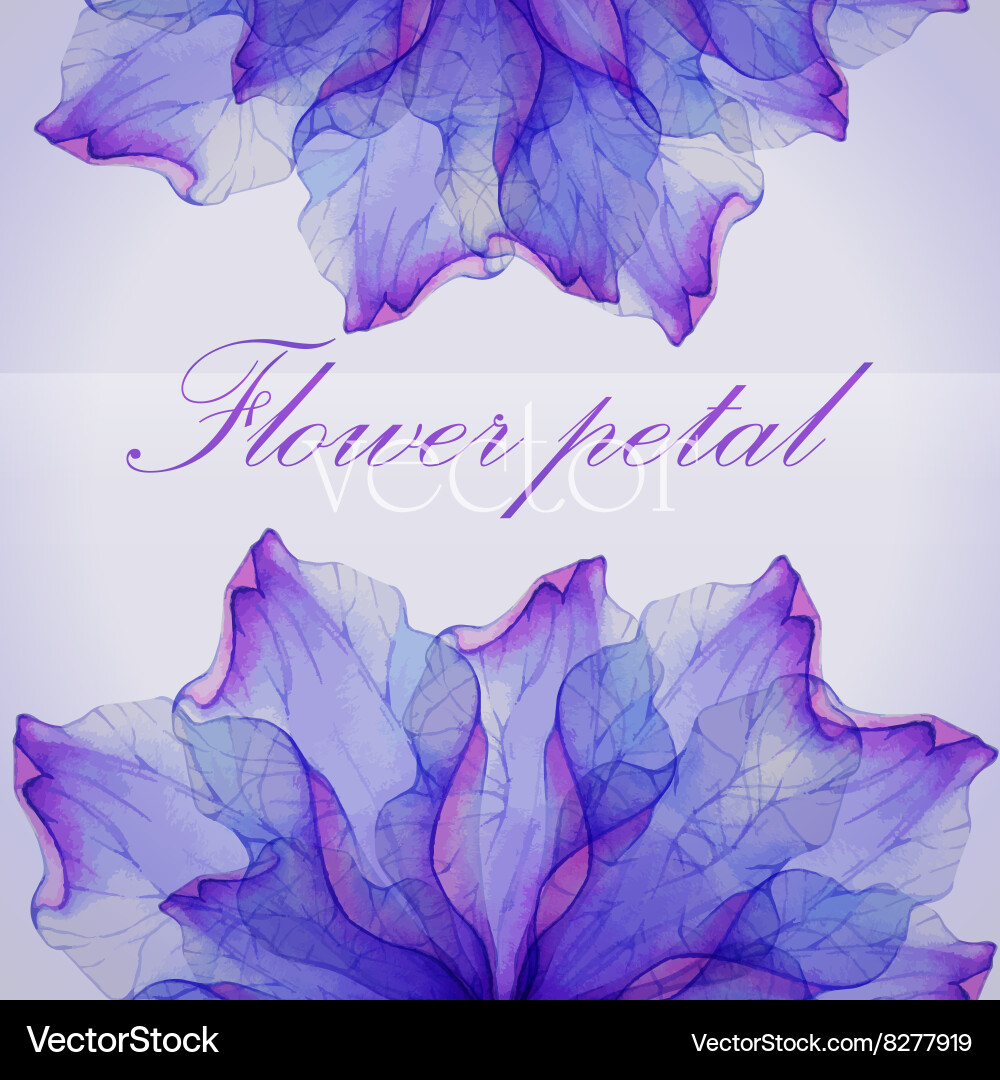 Watercolor floral round patterns Royalty Free Vector Image