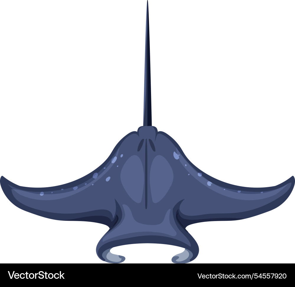 A manta ray from above Royalty Free Vector Image