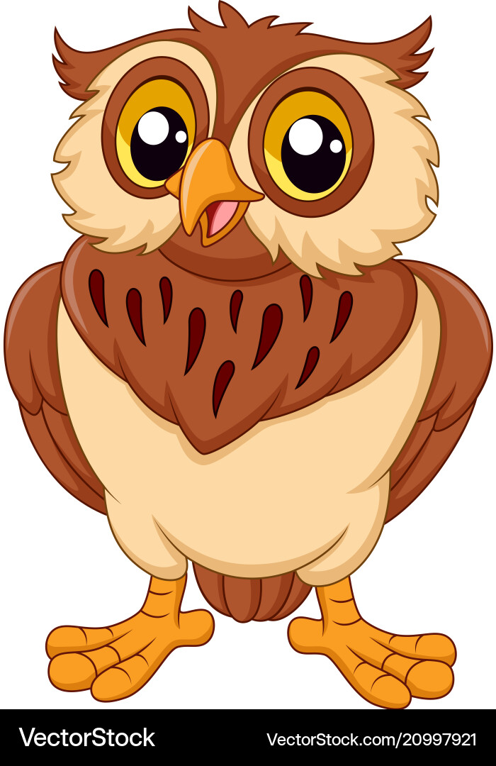 Cartoon owl isolated on white background Vector Image