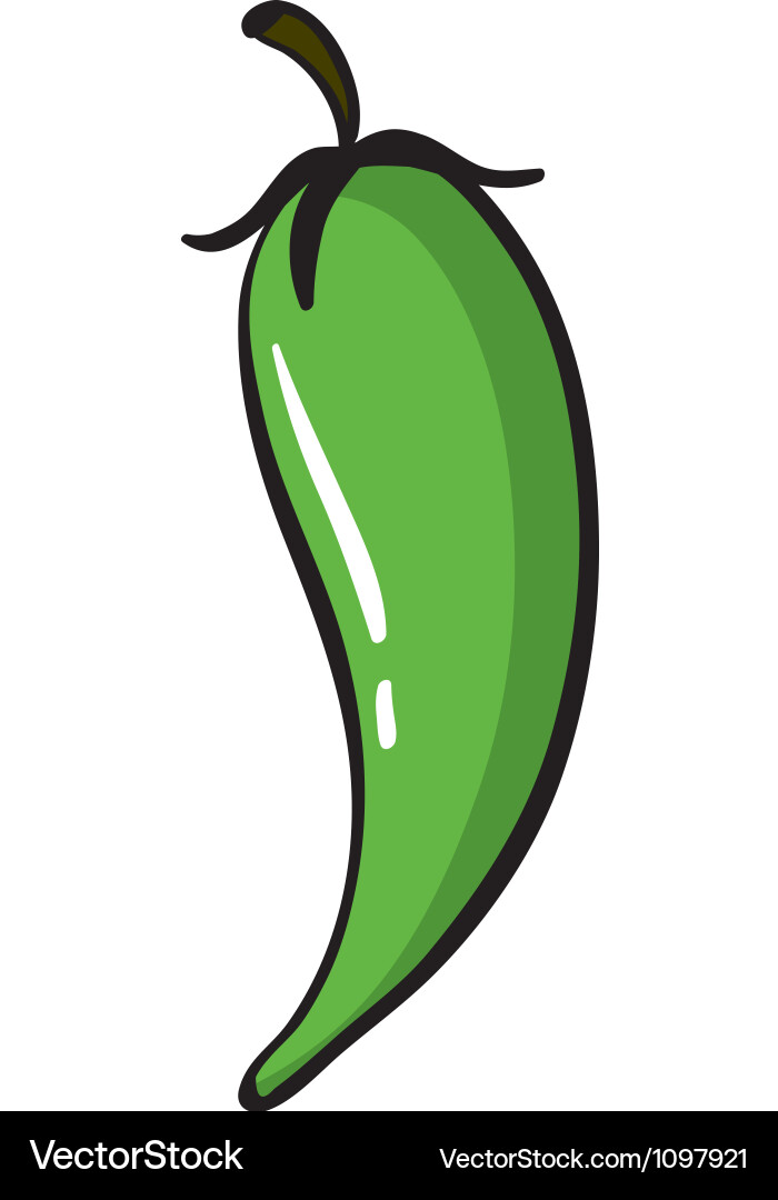 Green chili Royalty Free Vector Image - VectorStock