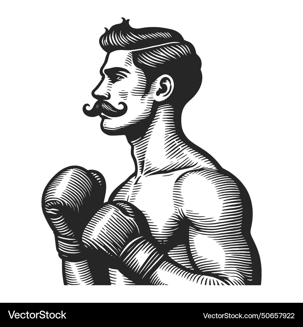 Vintage boxer with gloves sketch Royalty Free Vector Image