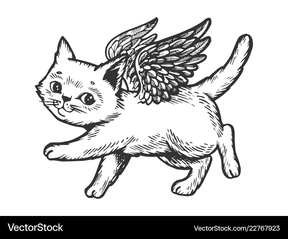 Angel Kitten Scratch Board Royalty Free Vector Image