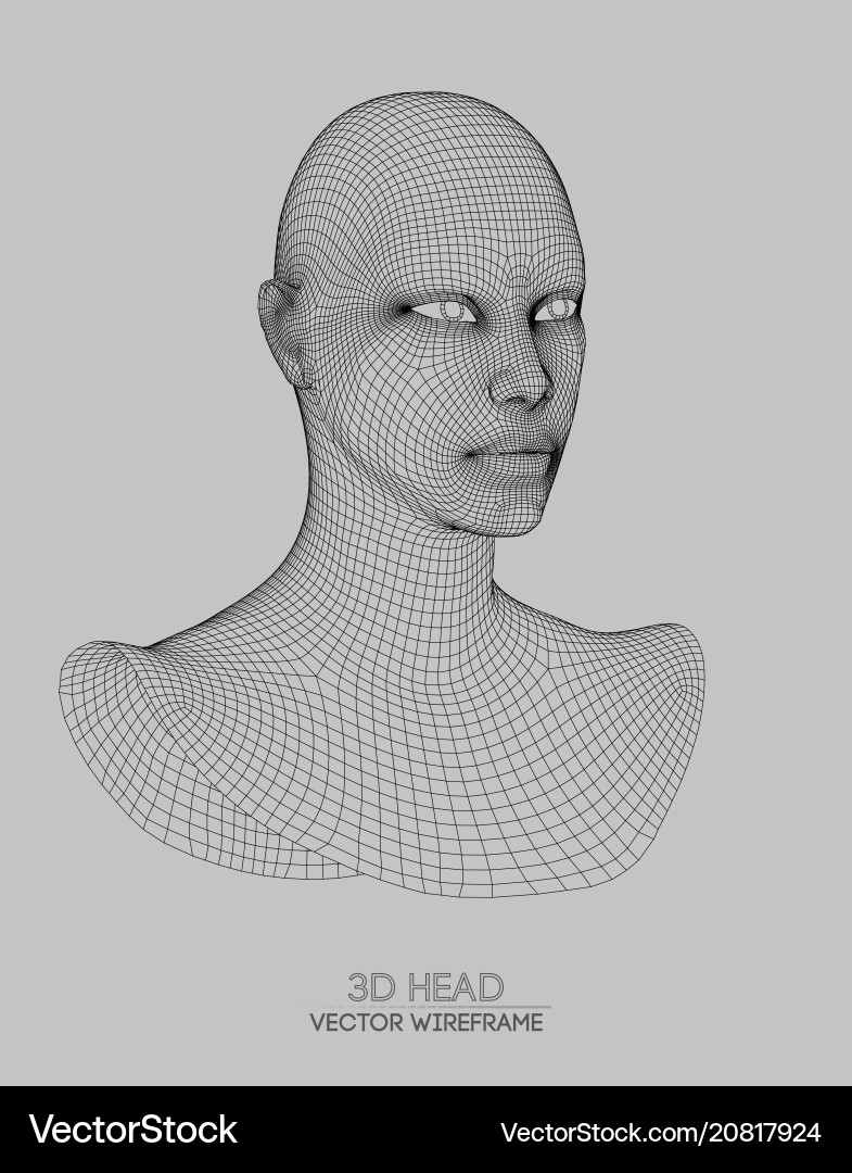3D Kopf Drahtrahmen Zeichnung Lizenzfreies Vektorbild