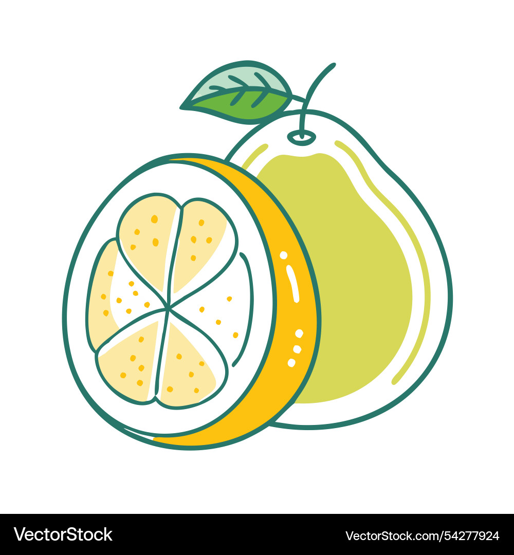 Pomelo icon fruits Royalty Free Vector Image - VectorStock