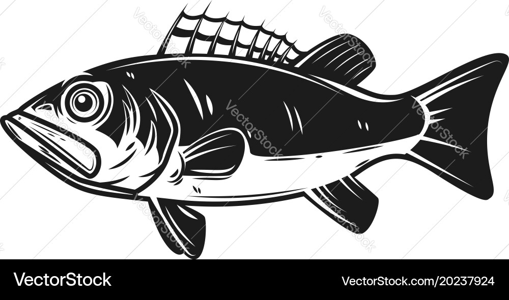 Sea bass icon perch design element for logo Vector Image